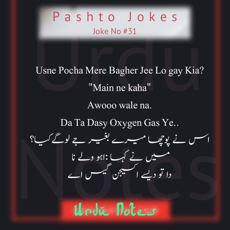 پشتو لطیفے | Pashto Jokes