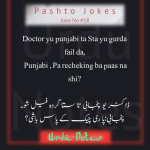 پشتو لطیفے | Pashto Jokes