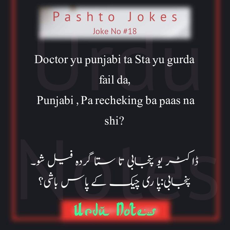پشتو لطیفے | Pashto Jokes